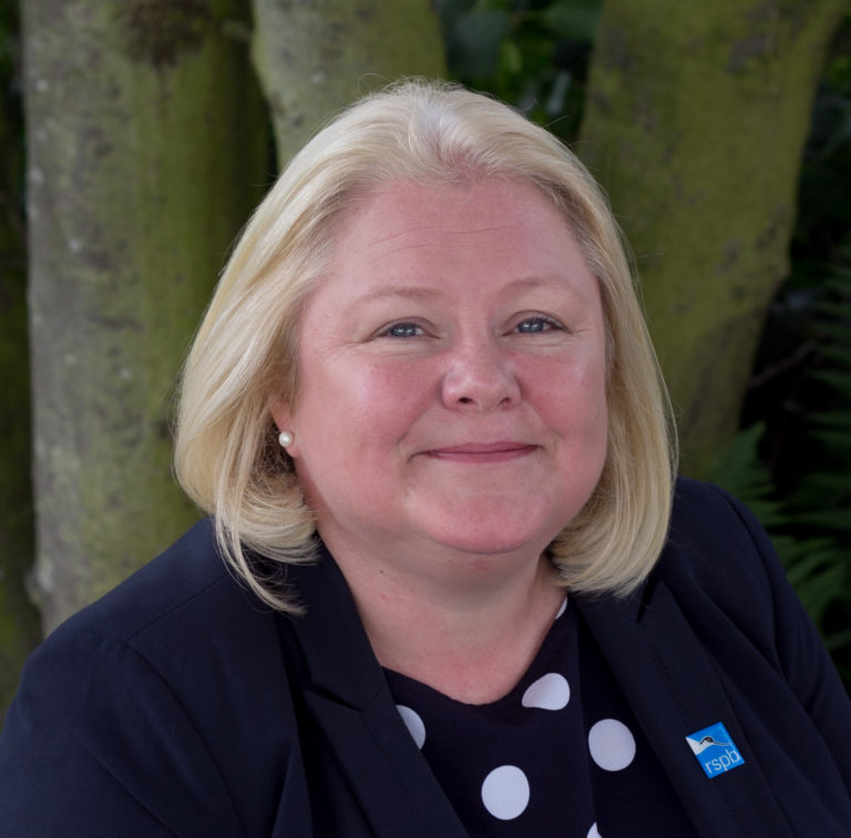 Anne McCall « EEB Conference